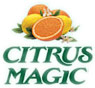 Citrus Magic | vitaspringsunday.com – VitaSpringSunday