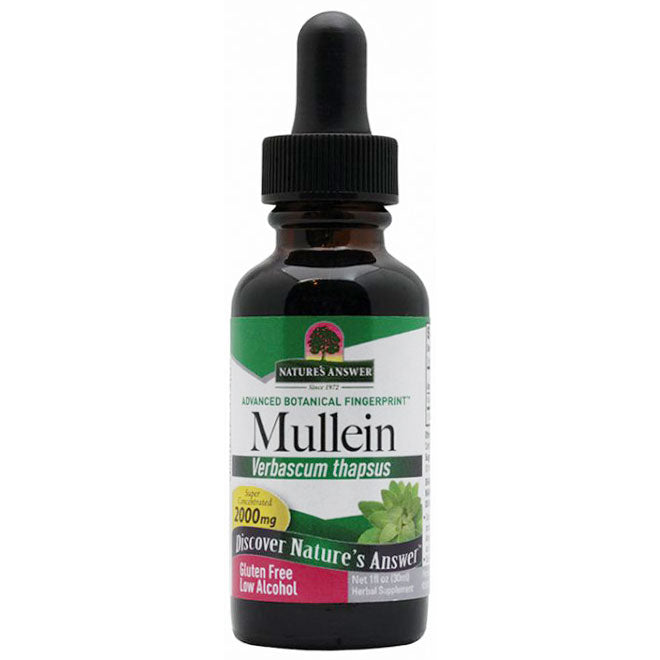 Mullein Leaf Extract Liquid 1 oz from Nature's Answer ...