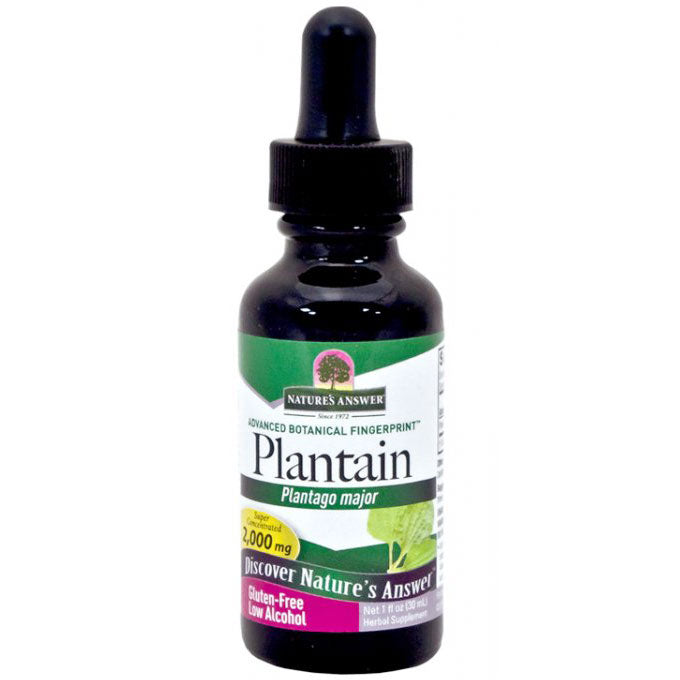 Plantain Leaf Extract Liquid 1 oz from Nature's Answer ...